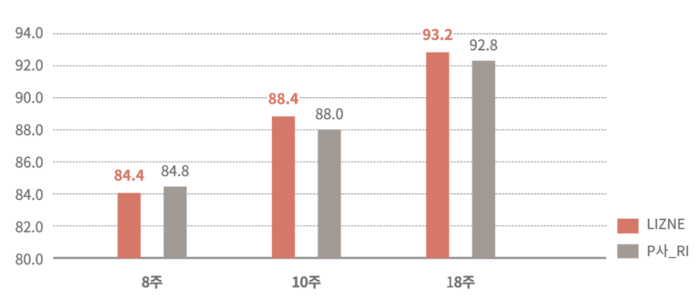 LIZNE - 파인엠투스